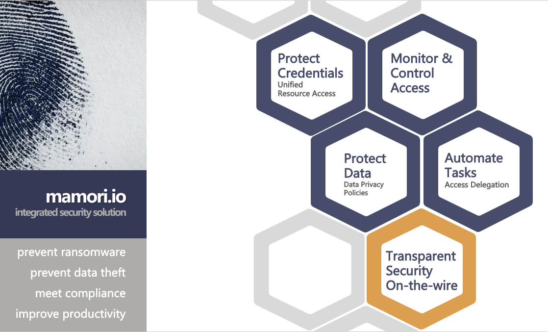 Overview - Mamori.io Enterprise Documentation